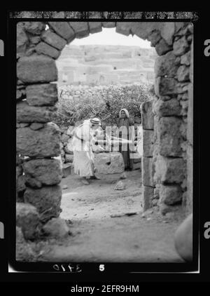 Olive crushing and pressing. Process of applying the weight. Scene ...