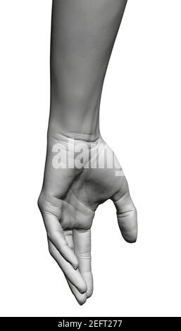 Model of a white female detailed hand. Polygonal hand of a girl. 3D ...