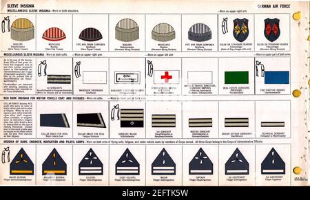 Musicians and standard-bearer Stock Photo - Alamy