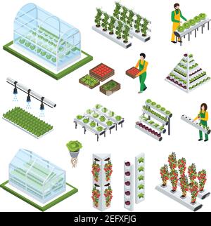 Hydroponics and aeroponics isometric concept with greenhouse and ...