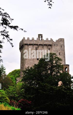 Tourists from all over the world in front of the historic Reichstag in ...