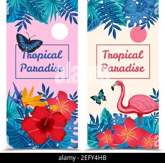 Set of banners with butterflies and flowers Stock Vector Image & Art ...