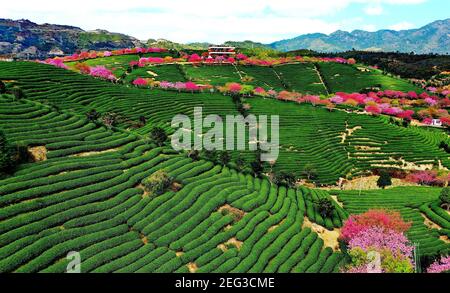 Longyan City, China. 17th Feb, 2021. Photo taken from aerial view shows ...