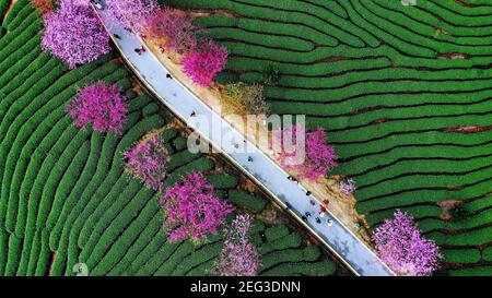 Longyan City, China. 17th Feb, 2021. Photo taken from aerial view shows ...
