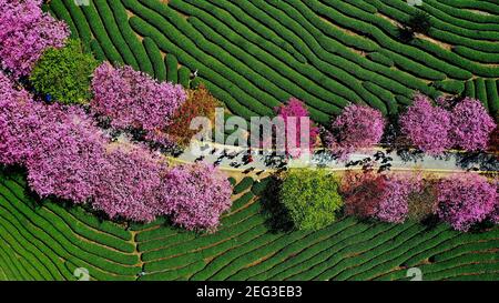 Longyan City, China. 17th Feb, 2021. Photo taken from aerial view shows ...