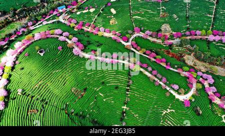 Longyan City, China. 17th Feb, 2021. Photo taken from aerial view shows ...