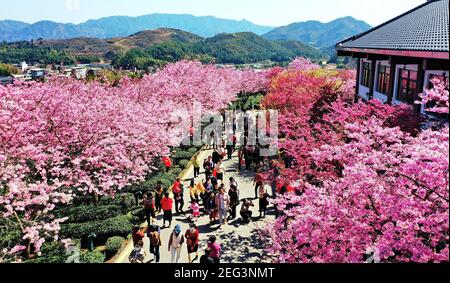 Longyan City, China. 17th Feb, 2021. Photo taken from aerial view shows ...