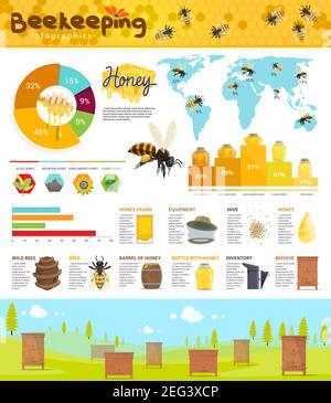 Beekeeping and honey production or apiary infographic poster template ...