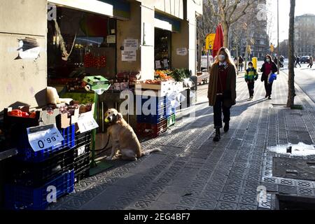 Barcelona, Spain. Credit: D. 17th Feb, 2022. Alex Meret (Napoli ...