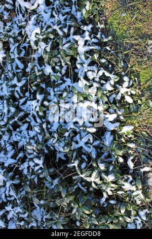 February nature winter scenes of Zagreb's surroundings, Croatia Stock ...