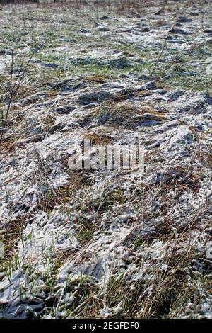 February nature winter scenes of Zagreb's surroundings, Croatia Stock ...