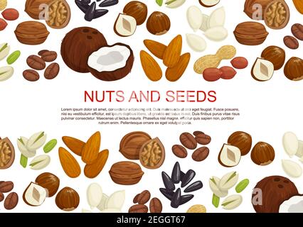 Nuts and fruit seeds or kernels information poster template on ...