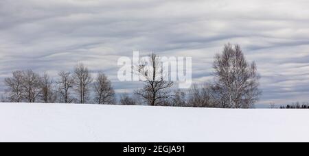 February landscape in northern Wisconsin Stock Photo - Alamy