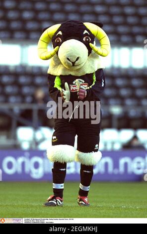 Derby County mascot Rammy the Ram Stock Photo - Alamy