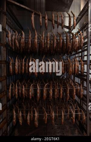 Smoked fish production concept Stock Photo - Alamy