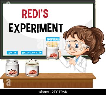 Redi's Experiment diagram for education Stock Vector Image & Art - Alamy