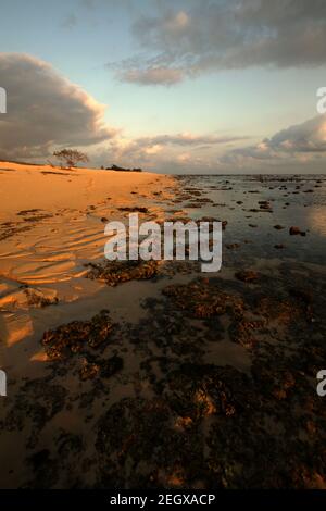 Rocky intertidal range and sandy beach during low tide before sunset ...