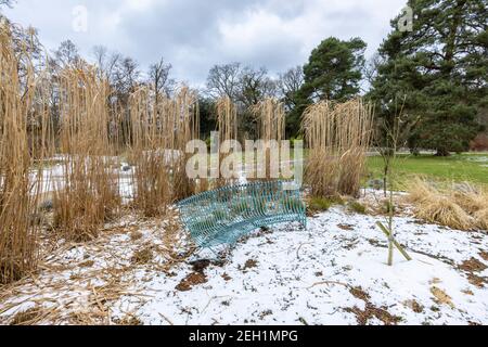 A green curved metallic bench in the Grass Gardens in Howard's Field at ...