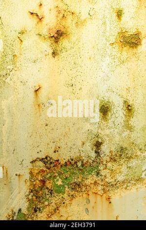 Red Rust and Lichen Abstract Stock Photo - Alamy