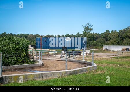 Cow waste storage Stock Photo - Alamy