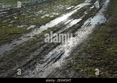 Muddy earth and meadow with puddles in the evening light Stock Photo ...