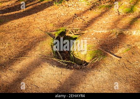 Wildlife dens in the ground . Underground holes for animals Stock Photo ...