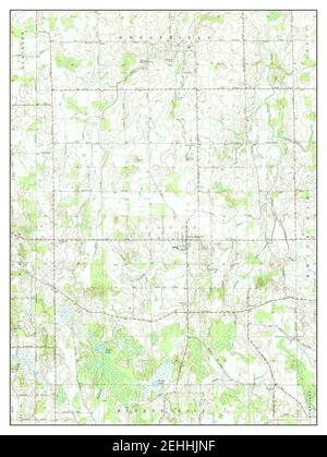 Dansville, Michigan, map 1970, 1:24000, United States of America by ...