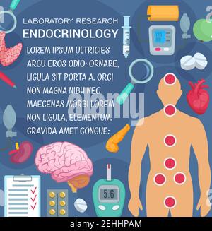 Endocrinology medical poster with human body. Marked internal organs ...