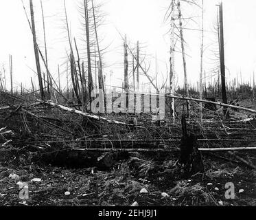 Panoramic view in vicinity of Bellevue Stock Photo - Alamy