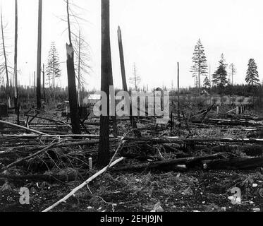 Panoramic view in vicinity of Bellevue Stock Photo - Alamy