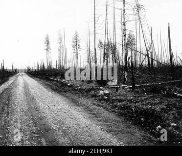 Panoramic view in vicinity of Bellevue Stock Photo - Alamy