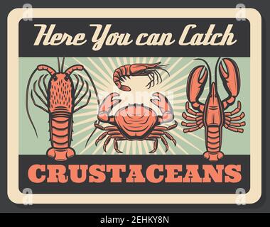 Crustaceans, shrimp, lobster or crayfish, crab with claws. River and ...