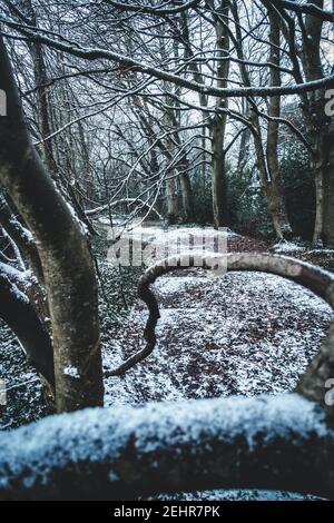 Hampshire Countryside Around Over Wallop in Light Snow Cover Stock ...