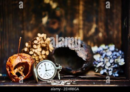 abstract images of dead nature Stock Photo - Alamy