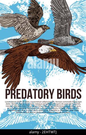 Protect birds of prey sketch poster for wild nature and environment ...