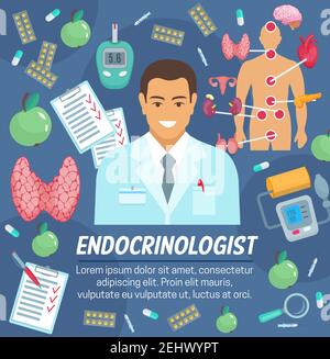 Thyroid Hormone Secretion. Endocrinology System. Vector Illustration ...