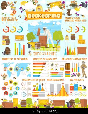 Apiary farm infographic for beekeeping statistics. Vector design of ...