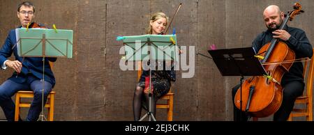 Outdoor classical recital by socially distanced trio Stock Photo - Alamy