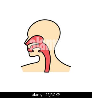 Human organ esophagus color line icon. Pictogram for web page, mobile ...