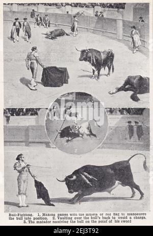 Bullfighting Matador muleta sword fighting bull impaled banderillas ...