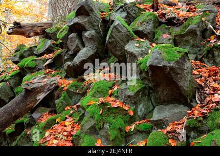 Basalt block field, basalt, basalt rocks, Rhoen biosphere reserve ...