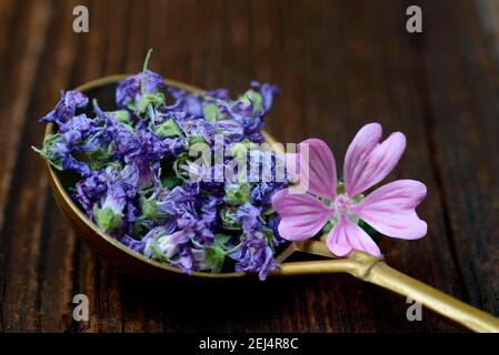 Mallow tea, dried flowers, Common mallow ( Malva sylvestris Stock Photo ...