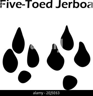 Five-Toed Jerboa Footprint Stock Vector Image & Art - Alamy