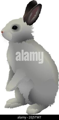 Adorable Brown Rabbit Standing Up illustration Stock Vector Image & Art ...