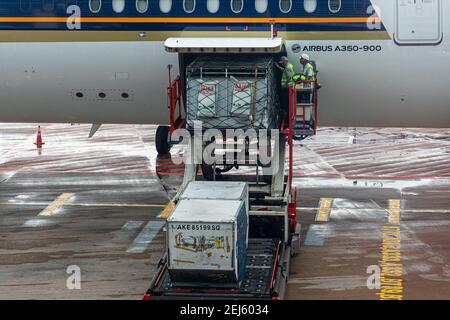 A ULD loader lifting a unit load device (ULD) from apron dollies to an ...