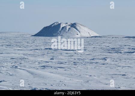 A pingo landmark (intra-permafrost ice-cored hill) in winter on the ...