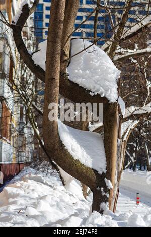 winter season with snowdrifts after snowfall, fresh and clean snow in ...