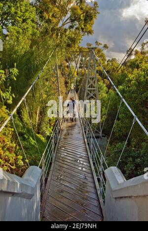 Spruce Bridge, pedestrian suspension bridge over Kate Sessions Canyon ...