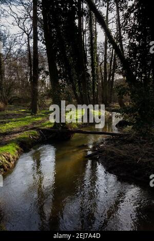 Flordon Common River Tas Stock Photo - Alamy