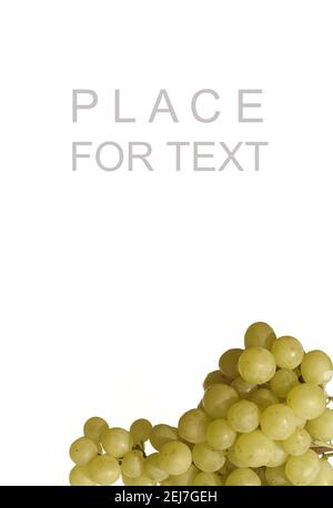 Still Life with an empty grape branch in a red bucket Stock Photo - Alamy